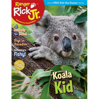 Download Ranger Rick Jr Games free - backuptwitter